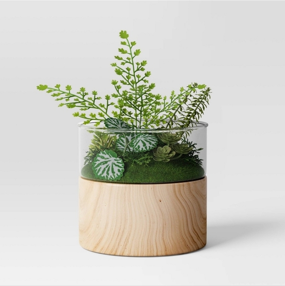 Threshold | Accents | Threshold Nwt Round Faux Terrarium In Glasswood ...